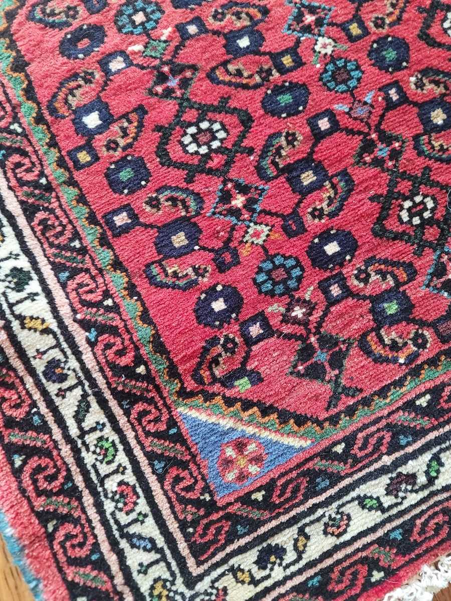 Letrice – theknottedfox